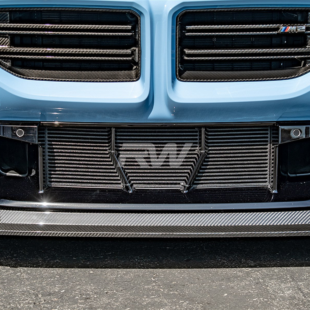 RW Carbon - ABS Mesh Lower Grille Guard - BMW G87 M2 – european auto source